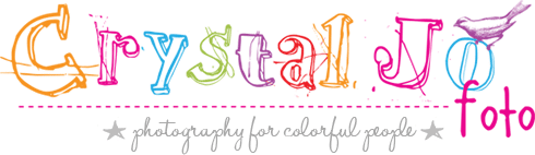 Blog - Crystal Jo Foto | Columbus Ohio Portrait and Wedding Photographer
